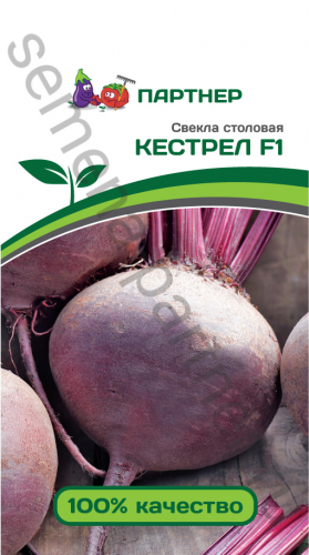 СВЕКЛА КЕСТРЕЛ F1 (1Г)