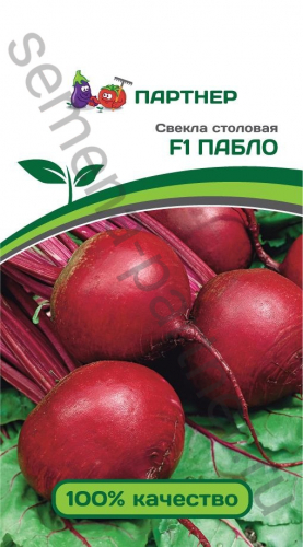СВЕКЛА ПАБЛО F1 ^(1Г)