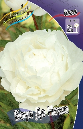 БОУЛ ДЕ НЕЖЕ