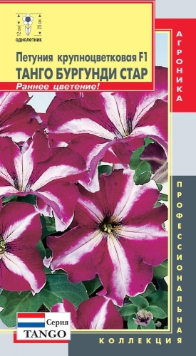 петуния крупноцветковая танго бургунди стар. Плазменные семена