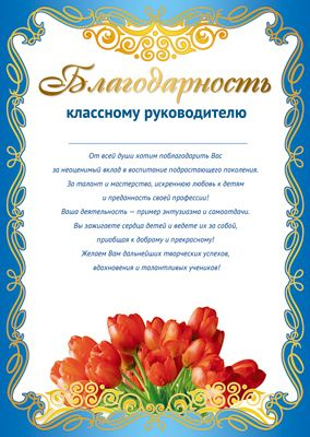 Благодарность Классному руководителю Ш-11185. Белая ворона