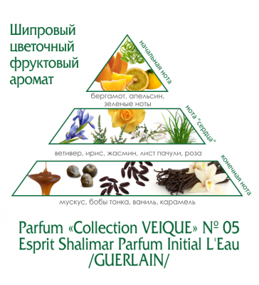 Perfume Collection Veique № 05 (ESPRIT Shalimar Parfum Initial L’Eau ...