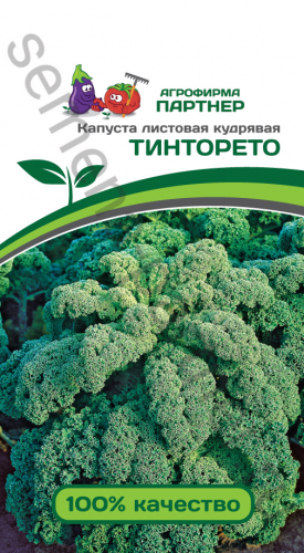КАПУСТА ЛИСТОВАЯ КУДРЯВАЯ ТИНТОРЕТО. ПАРТНЕР