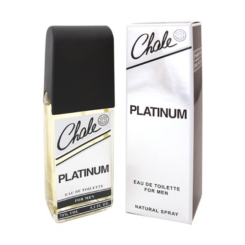 POSITIVE PARFUM men (Alain Aregon) CHALE - PLATINUM Туалетная вода 100 ...