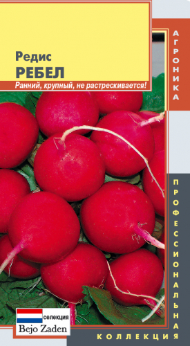 Редис Ребел. ПЛАЗМЕННЫЕ СЕМЕНА