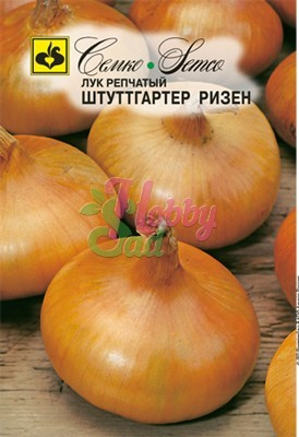 Лук Штуттгартер Ризен репчатый (2 г) Семко
