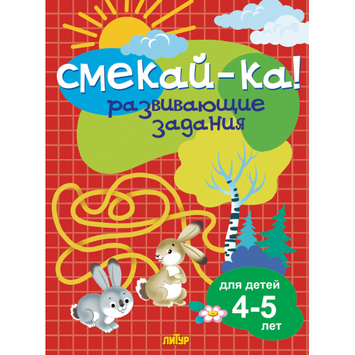Развивающие задания для детей 4-5 лет. Литур