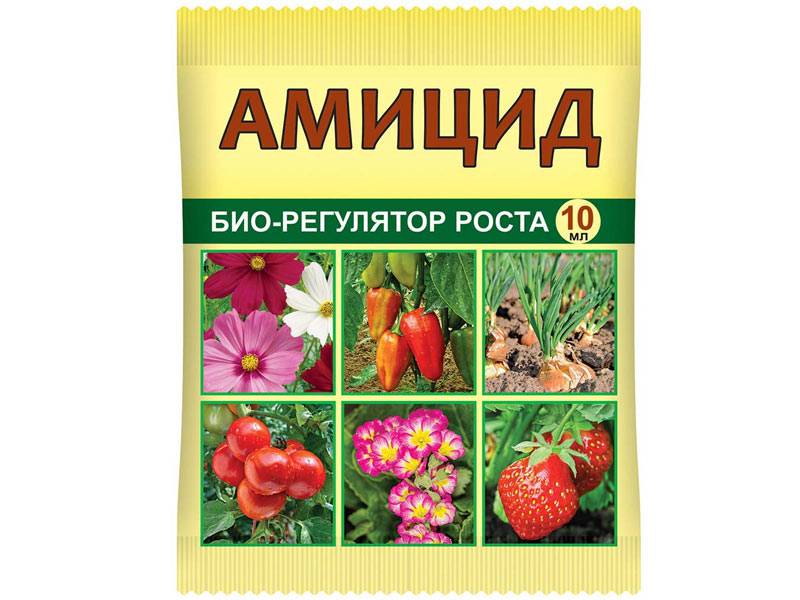 Купить Амицид 10мл биорегулятор роста пластиковая ампула