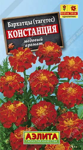 Бархатцы Констанция гибридные