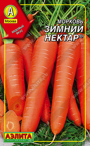 Морковь Зимний нектар