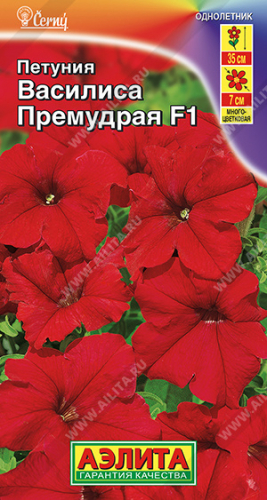 Петуния Василиса Премудрая F1 многоцветковая