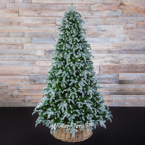 Искусственная елка Нормандия Пушистая заснеженная 155 см, ЛИТАЯ + ПВХ (Triumph Tree)
