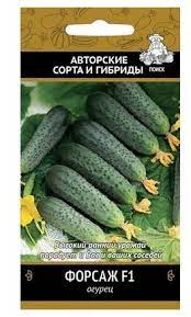 Огурец Форсаж Поиск Ц. ПОИСК ПЛЮС