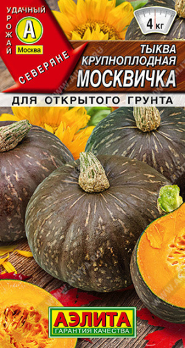 1027 Тыква крупноплодная Москвичка 1 г