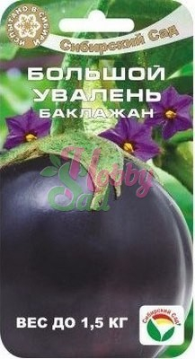 Баклажан Большой увалень (20 шт) Сибирский Сад
