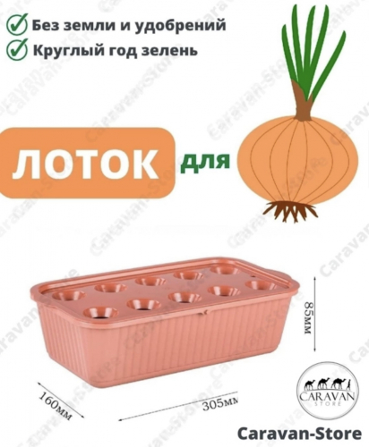 Лоток для выращивания лука