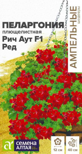 Цветы Пеларгония Рич Аут Ред плющелистная/Сем Алт/цп 3 шт. Ампельные ...