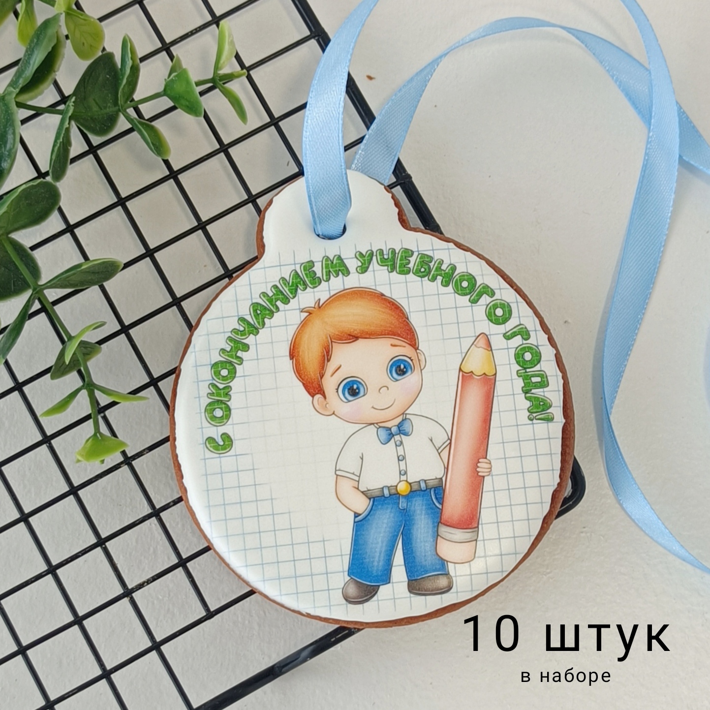 Надпись Здравствуй Школа Комплект Ученик 10 штук в коробке