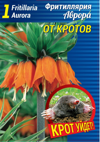 Фритиллярия - Рябчик Императорский Аврора