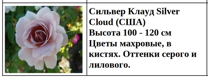 Сильвер Клауд Silver Cloud (США)