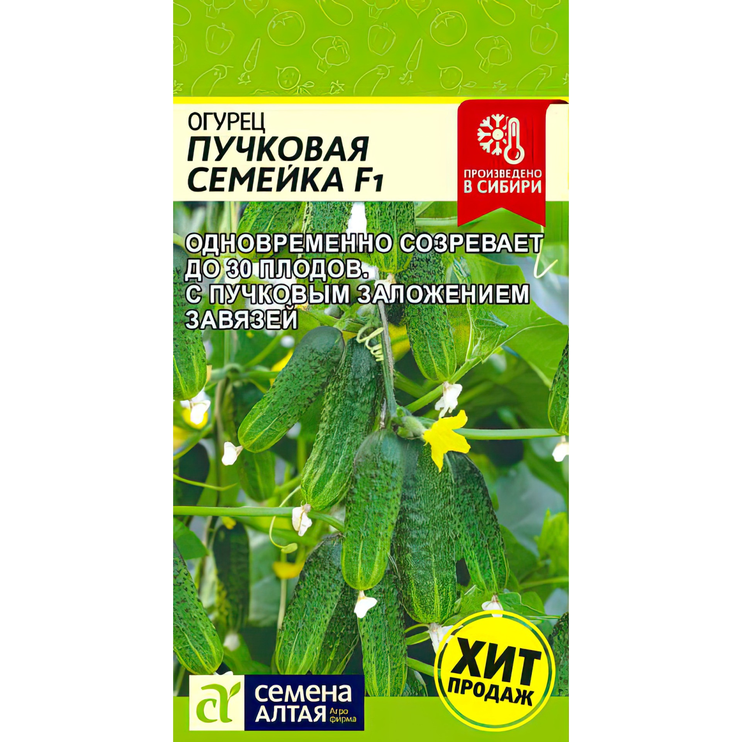 Огурец Пучковая семейка. Семена Алтая