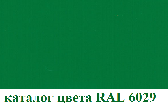 RAL-6029